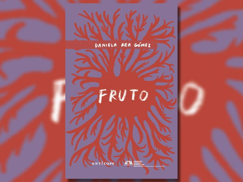 'Fruto': una mirada personal y política de los trabajos de cuidados
